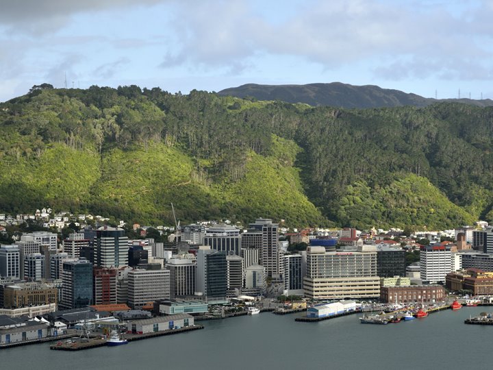 B-Tune (Building Tuning) | Beca