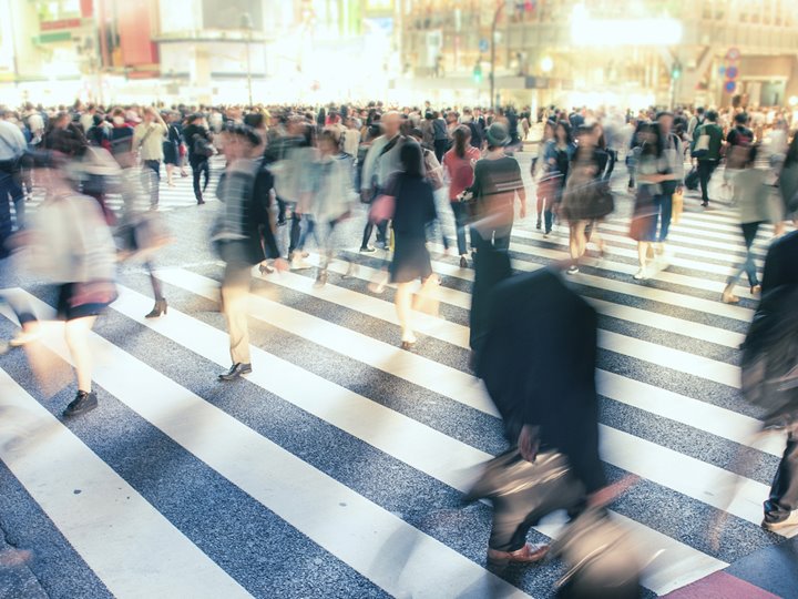 Crowd Modelling Services | Beca