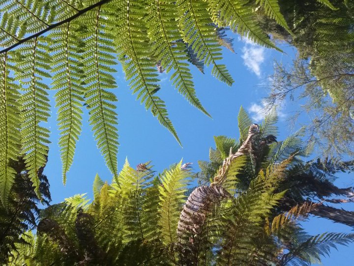 Climate Change Consulting Services | Beca