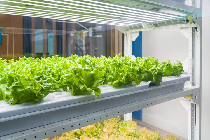 The Promise of Indoor Farming: Part 3 - Scaling up the Modular ...