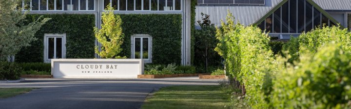 Cloudy Bay Vineyards - Founders Cellar | Beca