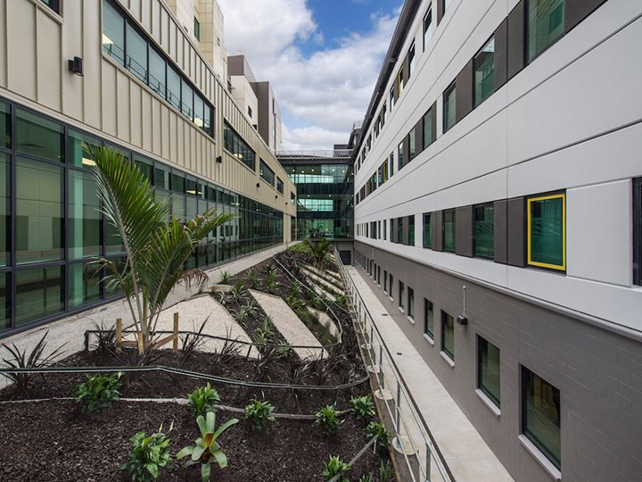 Middlemore Hospital Harley Gray Building | Beca